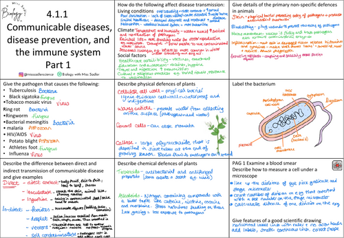 4.1.1 Communicable disease, prevention and the immune system revision ...