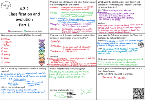 4.2.2 Classification and Evolution revision grid OCR A level Biology ...