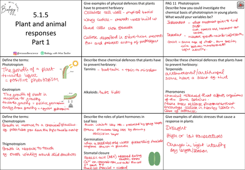 5.1.5 Plant and animal responses revision grid OCR A level Biology ...