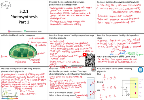 5.2.1 Photosynthesis revision grid OCR A level Biology | Teaching Resources