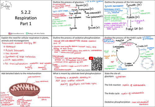 5.2.2 Respiration revision grid OCR A level Biology | Teaching Resources