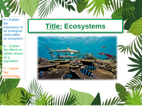 AQA A Level Biology (A2) - 19. Populations in Ecosystems - Ecosystems ...
