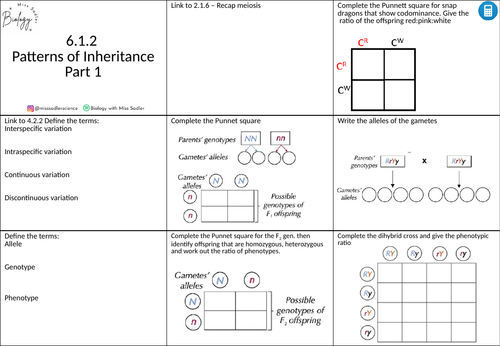 6.1.2 Patterns of inheritance revision grid OCR A level Biology ...