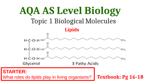 AQA Biology Unit 1 Biological Molecules (Complete set of PowerPoints ...