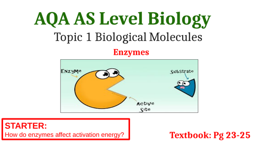 AQA Biology Unit 1 Biological Molecules (Complete set of PowerPoints ...