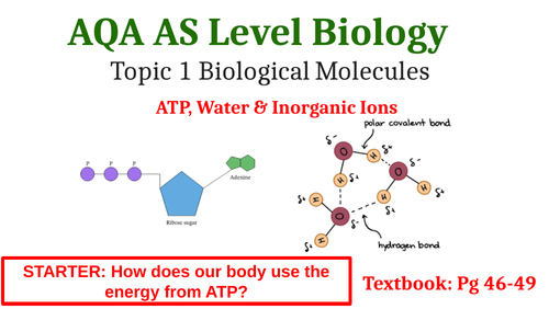 AQA Biology Unit 1 Biological Molecules (Complete set of PowerPoints ...