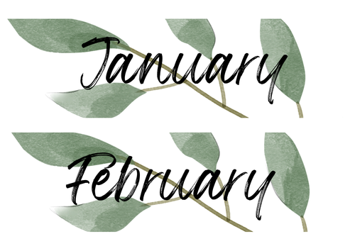 Days and Months Botanical Leaves | Teaching Resources