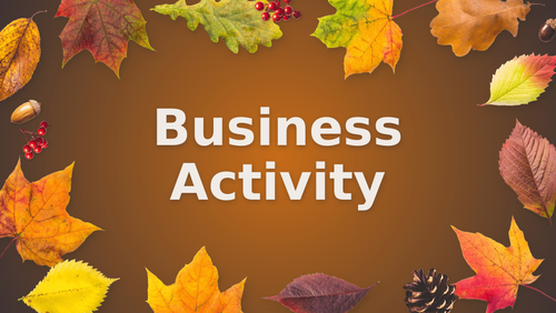 Business Activity - Introduction slides | Teaching Resources