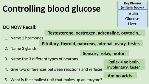 AQA GCSE Biology B5 Controlling blood glucose | Teaching Resources