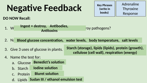 AQA GCSE Biology B5 Negative feedback | Teaching Resources
