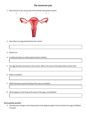 AQA GCSE Biology B5 Menstrual Cycle | Teaching Resources