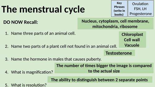 AQA GCSE Biology B5 Menstrual Cycle | Teaching Resources