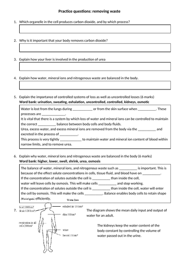 AQA GCSE Biology B5 Removing waste from the body | Teaching Resources