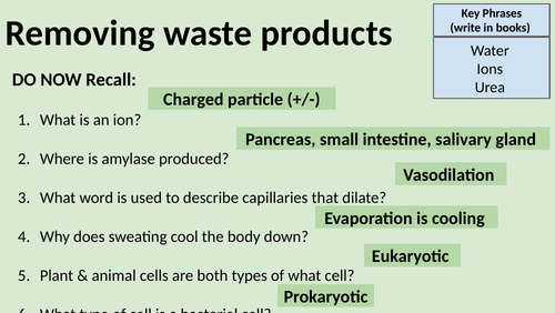 AQA GCSE Biology B5 Removing waste from the body | Teaching Resources