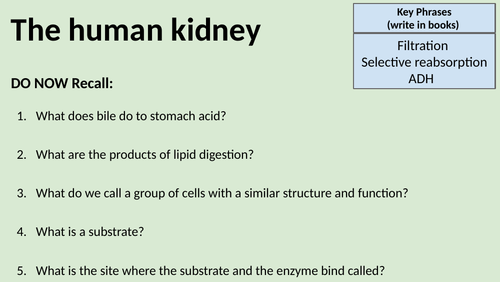 AQA GCSE Biology B5 The Human Kidney | Teaching Resources