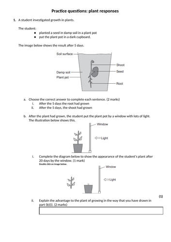AQA GCSE Biology B5 Plant hormones RP | Teaching Resources