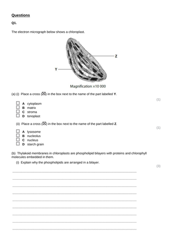 CIE 13.1 Photosynthesis: Overall Reaction | Teaching Resources