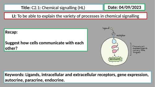 IB Biology C2.1: Chemical signalling HL only (first exams in 2025 ...