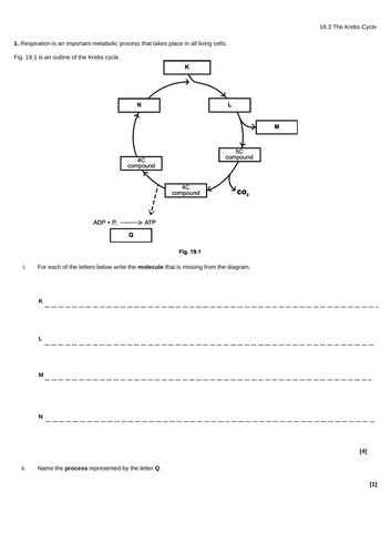 OCR Biology A- 18.3 The Krebs Cycle | Teaching Resources