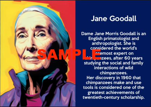 10 STEM Display Posters - Women in STEM | Teaching Resources