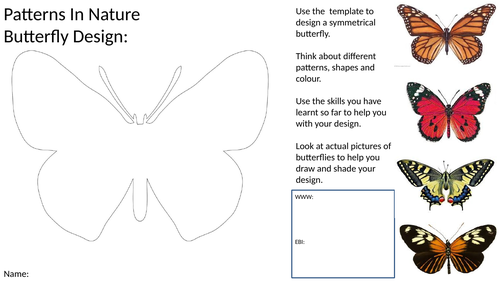 ART: Patterns in Nature (Butterfly) Cover Lesson | Teaching Resources