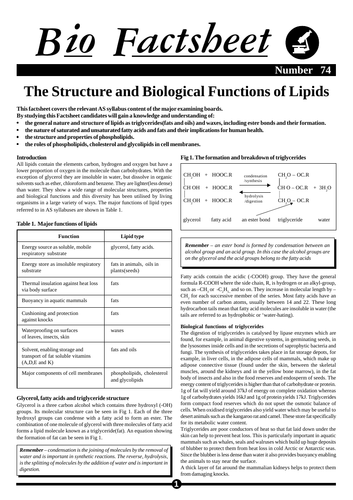 CIE 2.2 Biological Molecules: Lipids | Teaching Resources