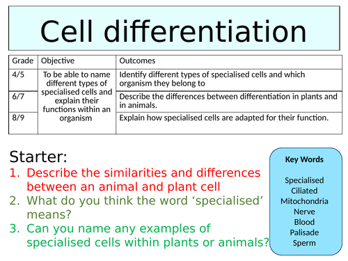 OCR GCSE (9-1) B2 Scaling Up Lesson Bundle | Teaching Resources