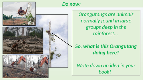 KS3 Geography - Tropical rainforests Full SoW - Geography - 12 lessons ...