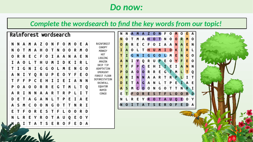 KS3 Geography - Tropical rainforests Full SoW - Geography - 12 lessons ...