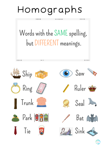 Homographs - Anchor chart | Teaching Resources