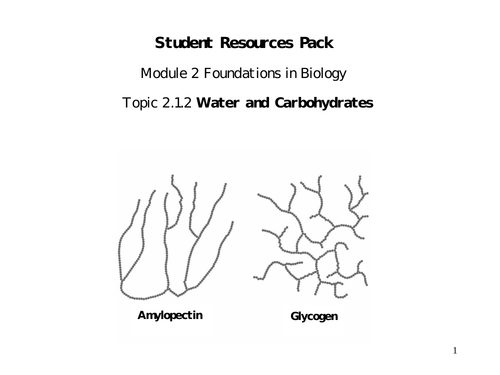 OCR Biology 2.1.2 Carbohydrates and Water | Teaching Resources