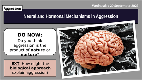 NEURAL AND HORMONAL MECHANISMS IN AGGRESSION [A-Level Psychology ...