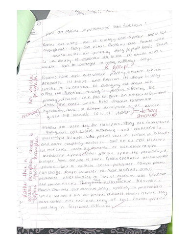 Importance of Proteins and Function Essay | Teaching Resources