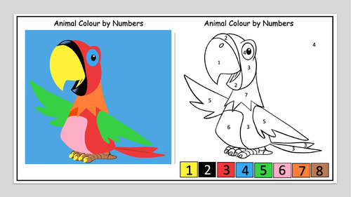 Bumper Pack of 10 Animal Worksheets | Teaching Resources