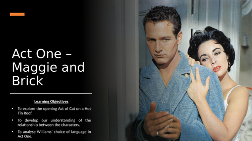 Cat on a Hot Tin Roof | Teaching Resources