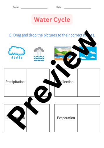 printable diagram Science water cycle worksheet and Activities for ...