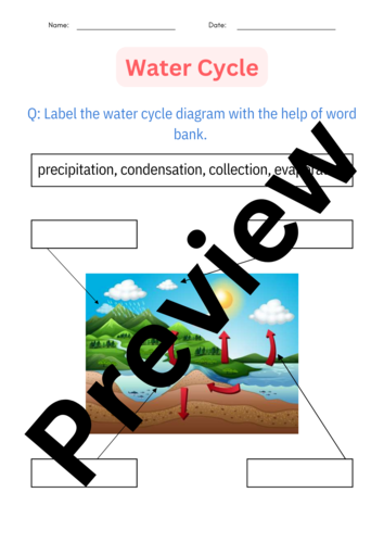 printable diagram Science water cycle worksheet and Activities for ...