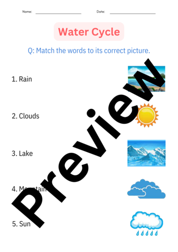 printable diagram Science water cycle worksheet and Activities for ...