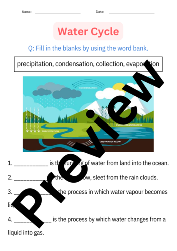printable diagram Science water cycle worksheet and Activities for ...