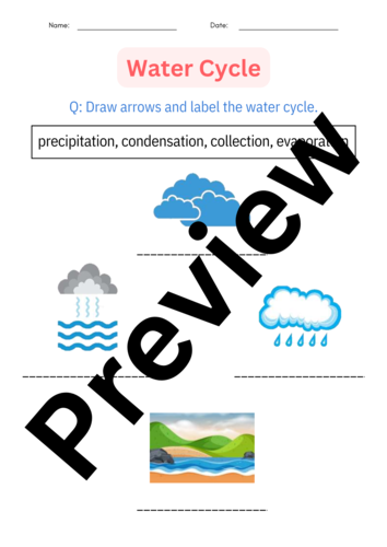 printable diagram Science water cycle worksheet and Activities for ...