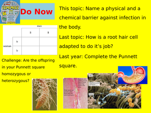 Edexcel CB5 SB5 The Immune System Complete Lesson - GCSE Biology ...