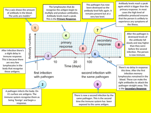 Edexcel CB5 SB5 The Immune System Complete Lesson - GCSE Biology ...