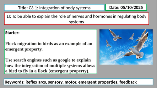 IB Biology C3.1: Integration of body systems (first exams in 2025 ...