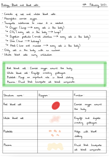 Structures & Functions of the Blood notes | Teaching Resources
