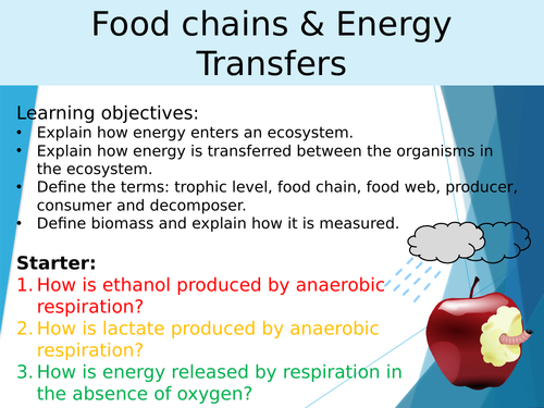 AQA A Level Biology 13.1 - Food Chains & Energy Transfers | Teaching ...