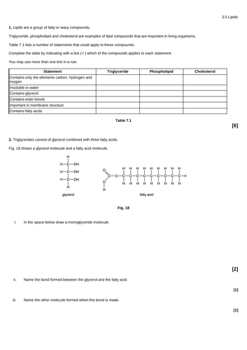 OCR Biology A- 3.5 Lipids | Teaching Resources