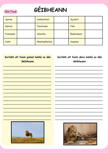 Gaeilge: Géibheann Bileog Oibre | Teaching Resources
