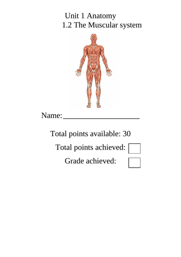 IB SEHS Unit 1 - Musculoskeletal System | Teaching Resources