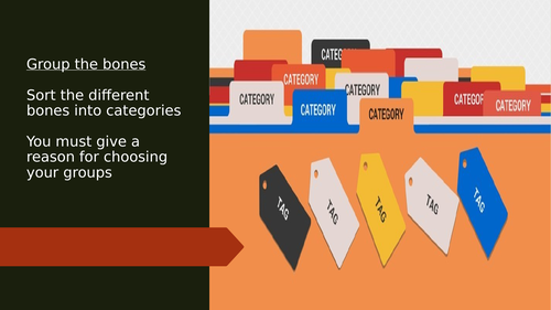 IB SEHS Unit 1 - Musculoskeletal System | Teaching Resources