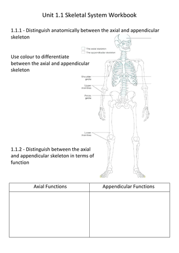 IB SEHS Unit 1 - Musculoskeletal System | Teaching Resources